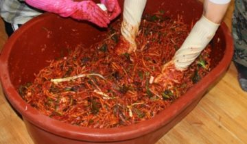 Molecular Gastronomy - The Beginner's Guide