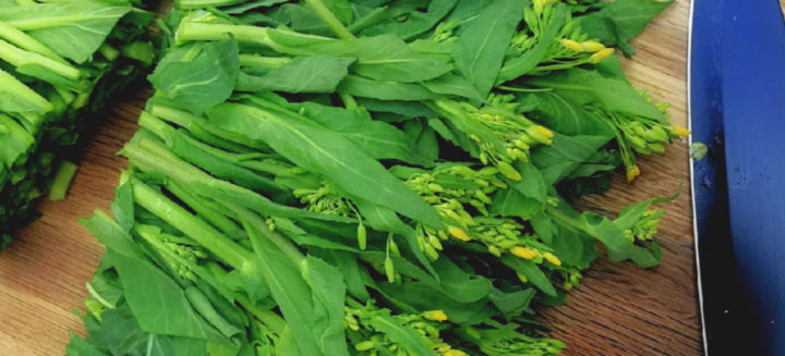 What is Rapini and How Do I Cook It?