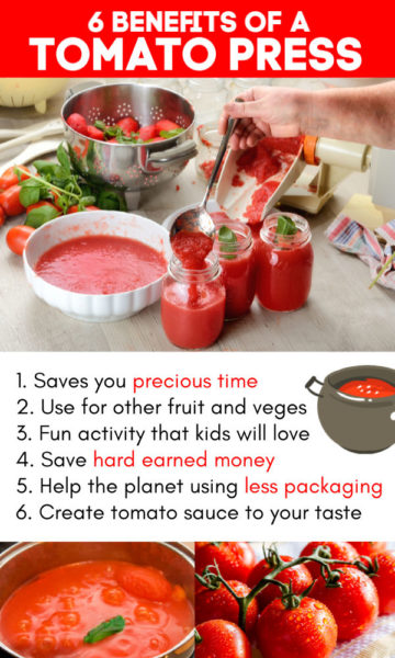 Best Tomato Press Reviews - 5 Top Options