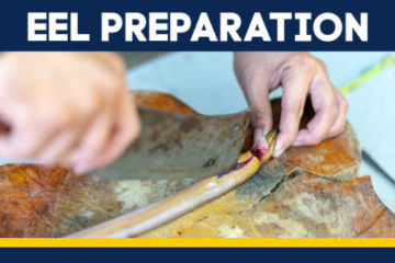 What Does Eel Taste Like? Fresh Vs Saltwater