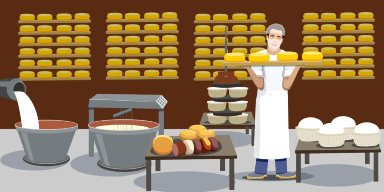 Illustrated Guide To Making Cheddar Cheese