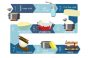 Illustrated Guide To Making Cheddar Cheese