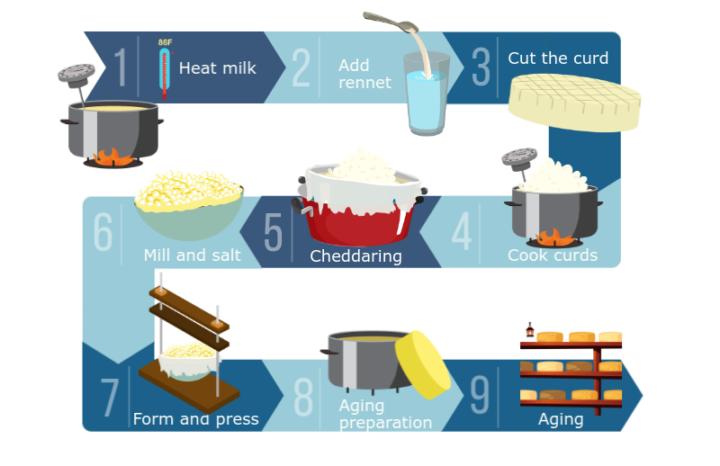 Illustrated Guide To Making Cheddar Cheese