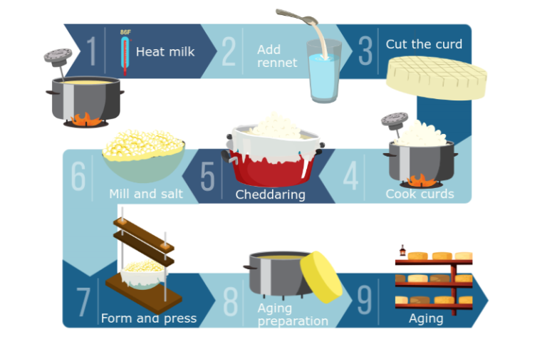 Illustrated Guide To Making Cheddar Cheese