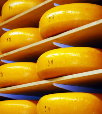 Illustrated Guide To Making Cheddar Cheese