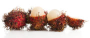 What Does Rambutan Taste Like?