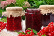 The Top 5 Lingonberry Substitutes
