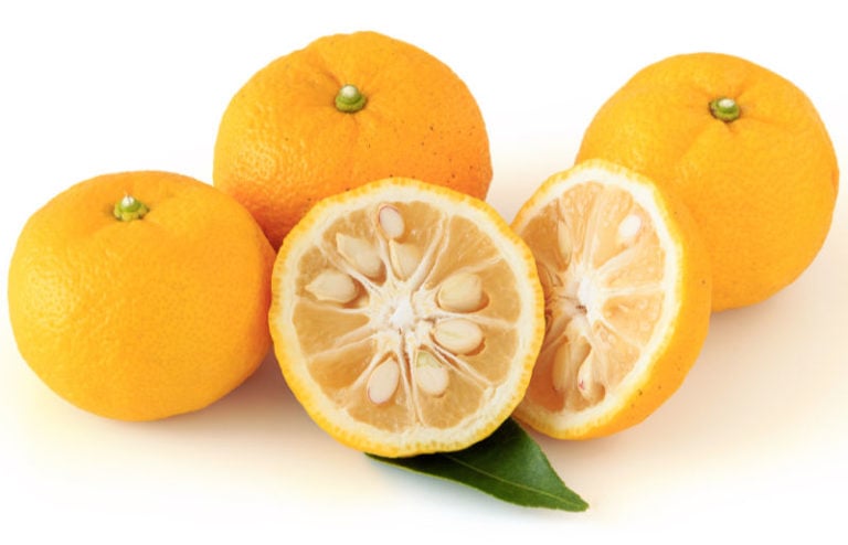 What Does Yuzu Taste Like? Ultimate Guide