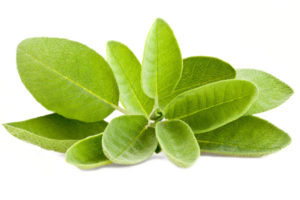 Cooking With Fresh Herbs – An Ultimate Guide