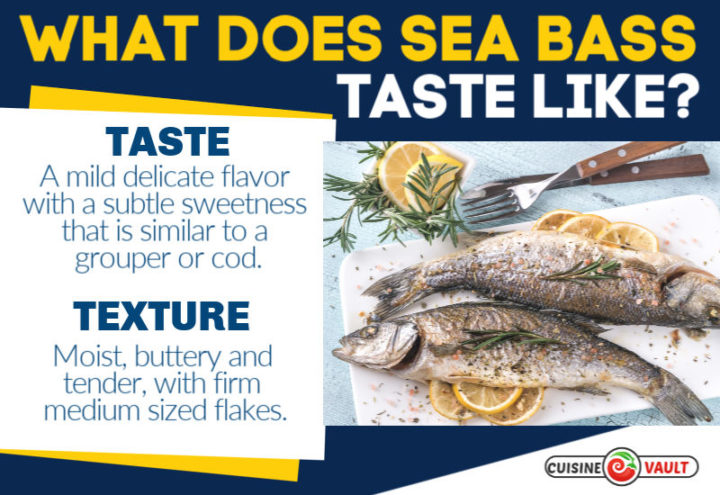 What Does Sea Bass Taste Like? Full Review