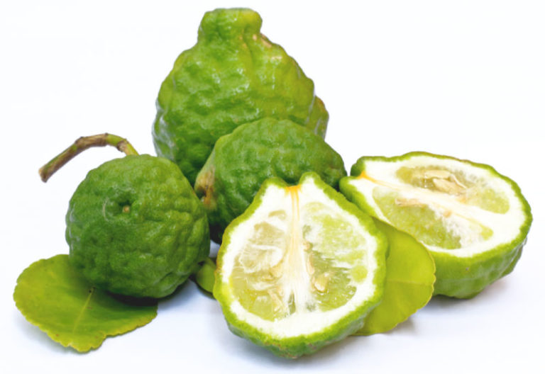 Kaffir Lime Taste Guide – Fruit & Leaves