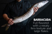 What Does Barracuda Taste Like?
