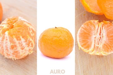 Ultimate Guide To The Sumo Citrus [Dekopon]