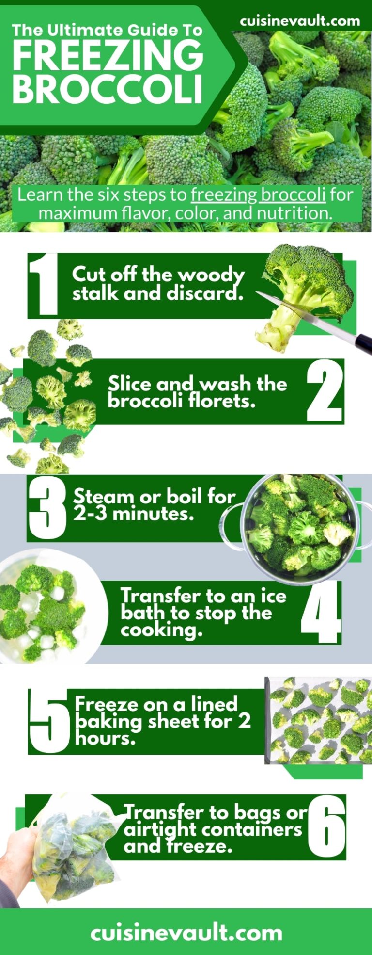 How To Freeze Broccoli - A Beginner's Guide