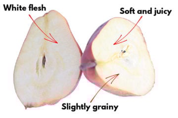 What Does A Red Anjou Taste Like?