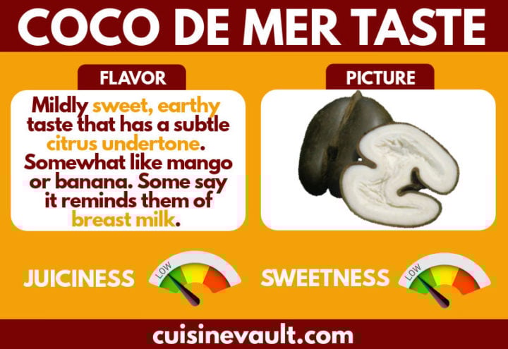 What Does A Coco De Mer Taste Like?