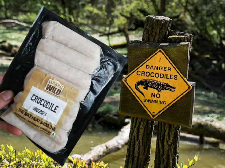 What Does Crocodile Meat Taste Like?