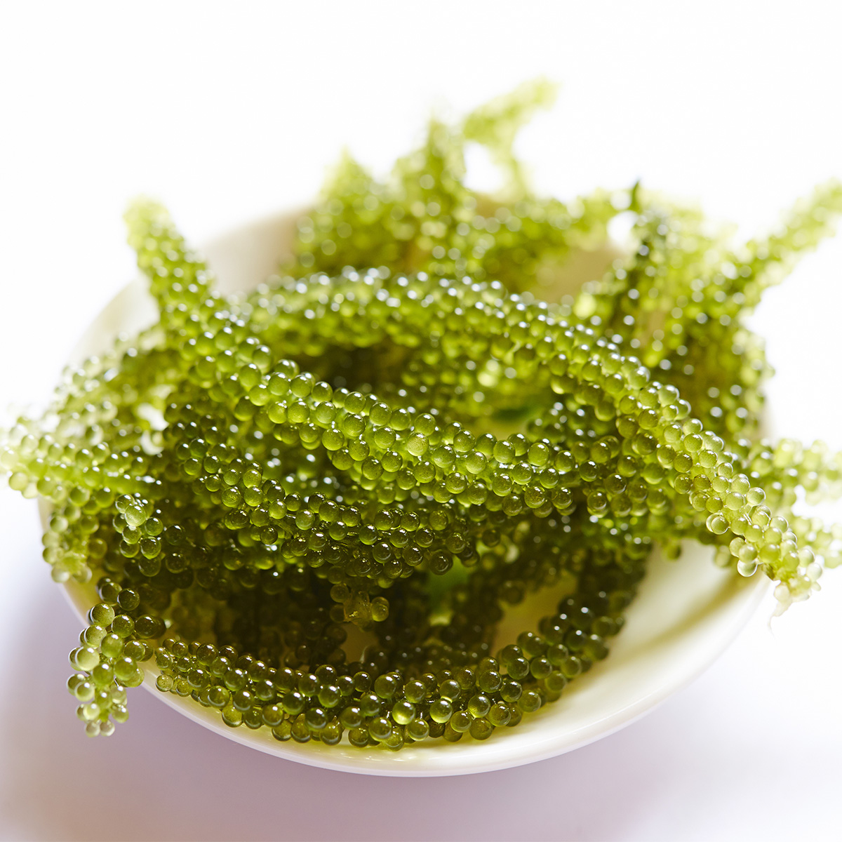 What Do Sea Grapes Taste Like? [Umibudo]