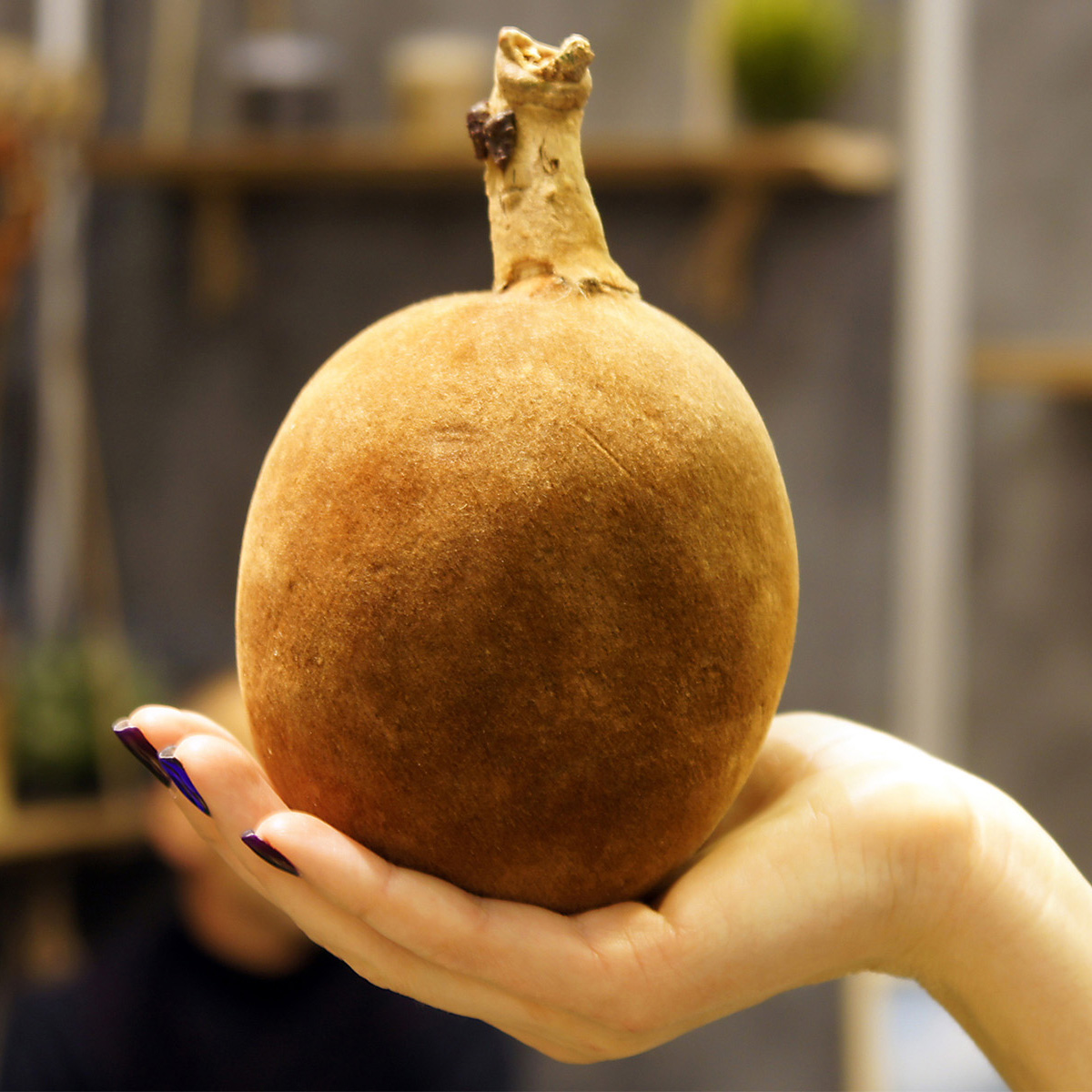 What Does Baobab Fruit Taste Like?