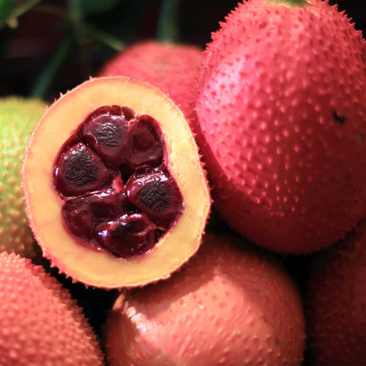 What Does A Gac Fruit Taste Like?