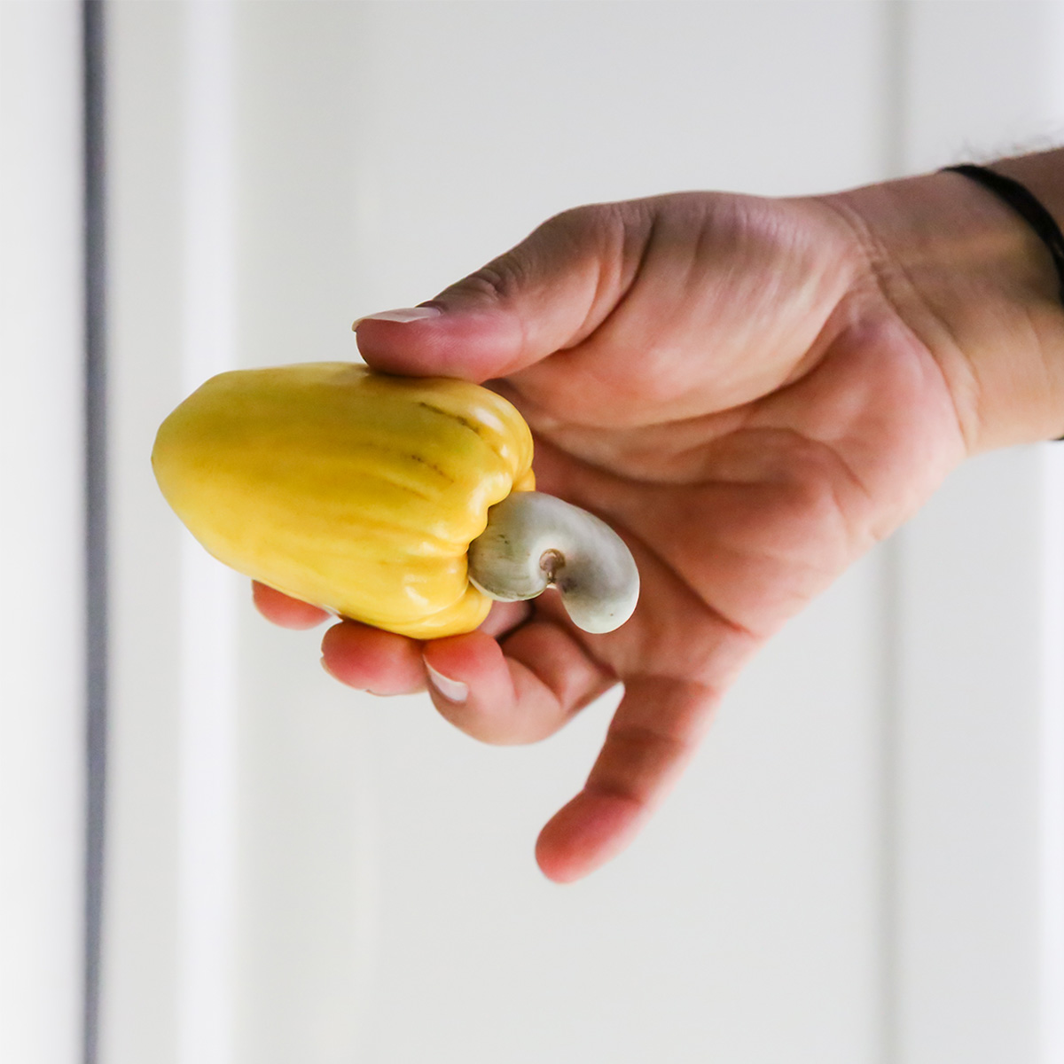 What Do Cashew Apples Taste Like?