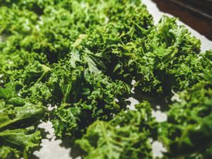 Everything You Need To Know About Kale, The Nutritious Leafy Green ...