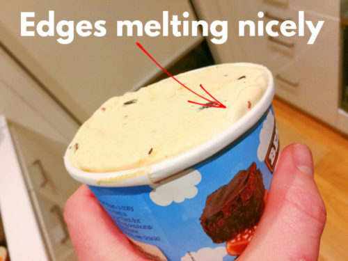 Can You Microwave Ice Cream? [Confirmed] - Tastylicious