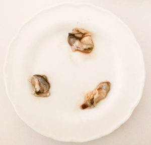 Can You Microwave Mussels? 3 Methods Tested - Tastylicious