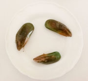 Can You Microwave Mussels? 3 Methods Tested - Tastylicious