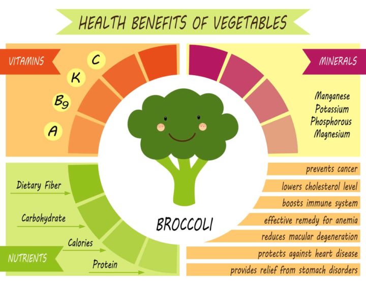 Broccoli 101: Everything You Need To Know About This Superfood ...