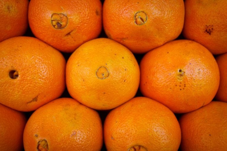 Oranges: Health Benefits, Nutritional Facts, and Juicing Recipes ...