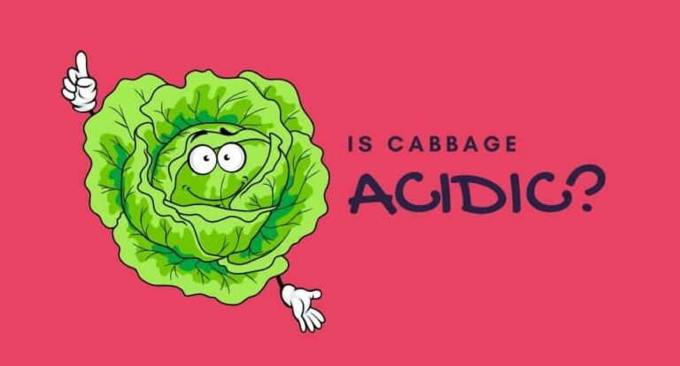 Is Cabbage Acidic? (What About Sauerkraut?) - Tastylicious
