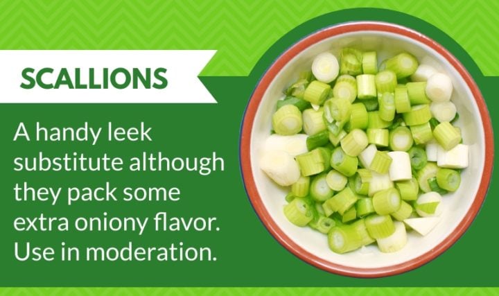 7 Leek Substitutes For Any Recipe +Video - Tastylicious