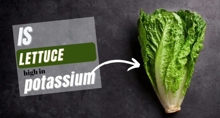 Is Lettuce High In Potassium? (Good For You?) - Tastylicious