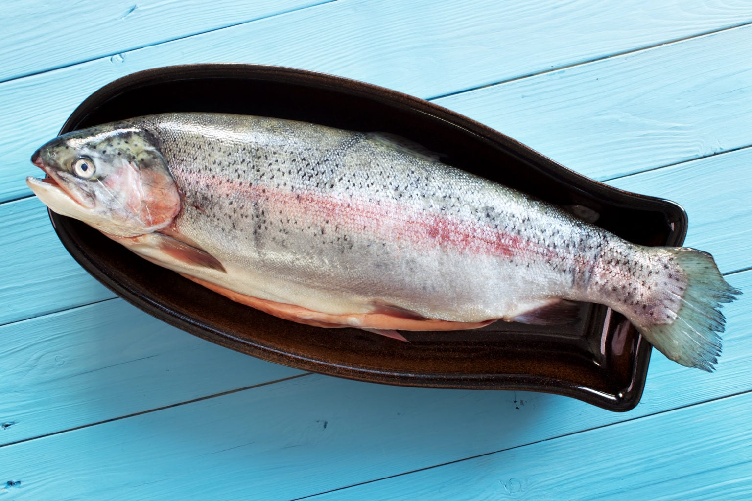 What Does Steelhead Trout Taste Like? - Tastylicious