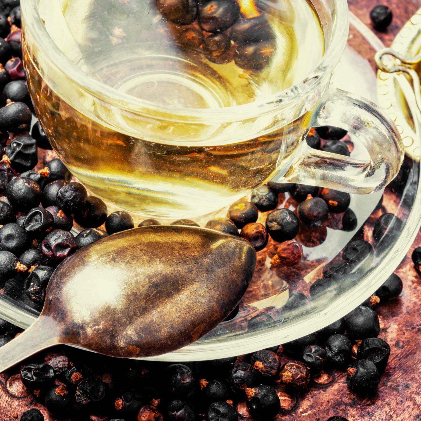 Juniper Berry Tea Benefits and Recipe - Tastylicious