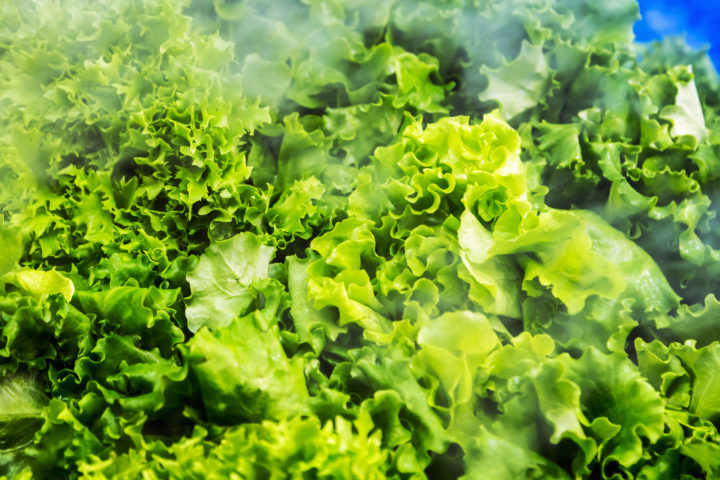 Can You Freeze Lettuce? - Tastylicious