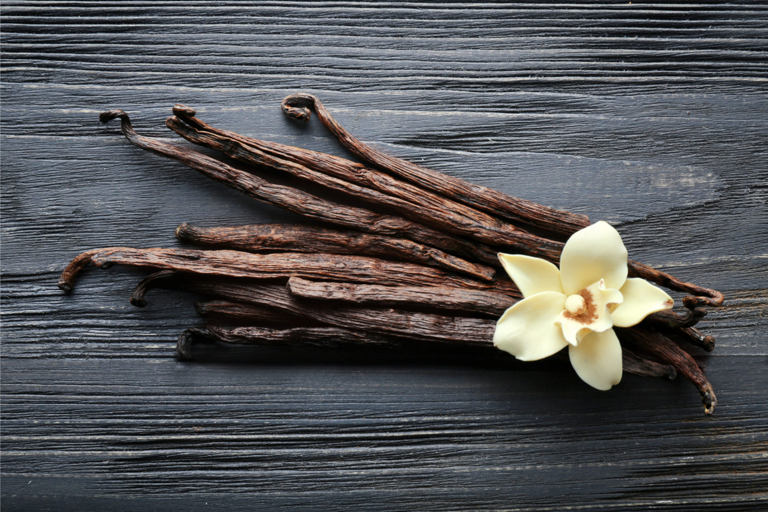 Vanilla vs. Chocolate: Which is Better? - Tastylicious
