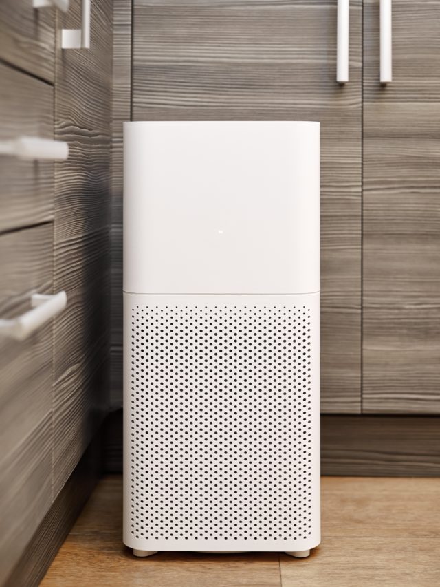 16 Best Air Purifiers for the Kitchen in 2022 - Tastylicious