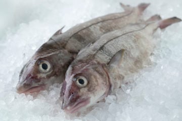Haddock vs. Cod: Which is better? - Tastylicious