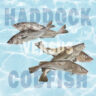 Haddock vs. Cod: Which is better? - Tastylicious