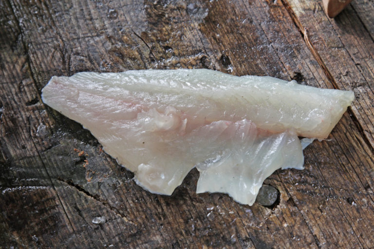 Walleye Vs. Bass: What Is The Difference? - Tastylicious