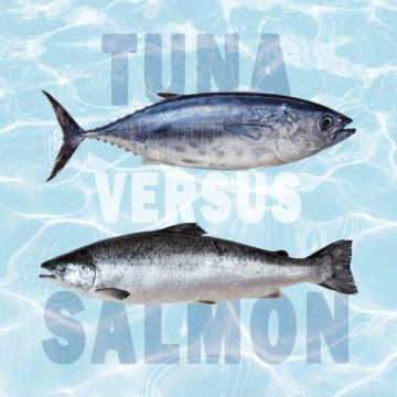 Tuna vs. Salmon: All Their Differences - Tastylicious