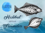 Flounder vs. Halibut: What is the difference? - Tastylicious