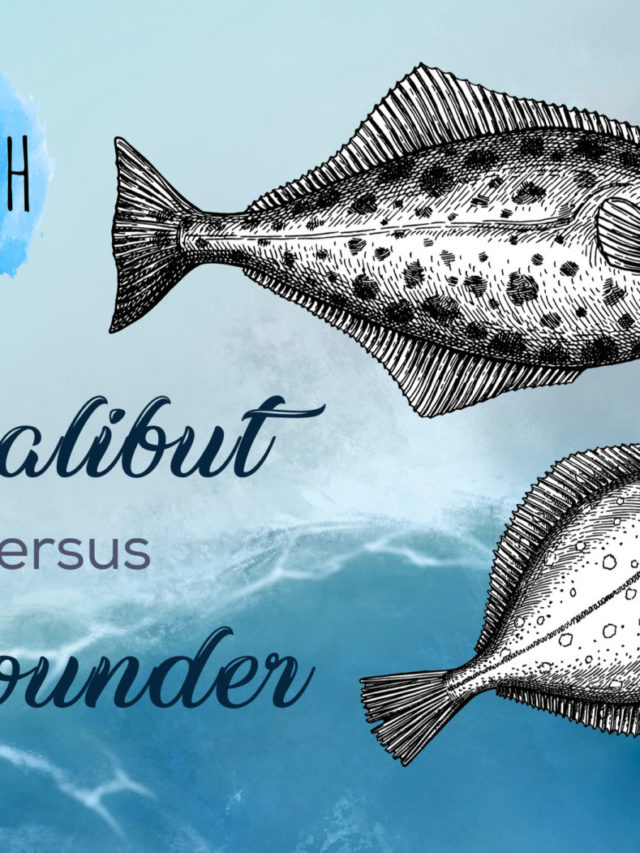 What Does Flounder Taste Like?