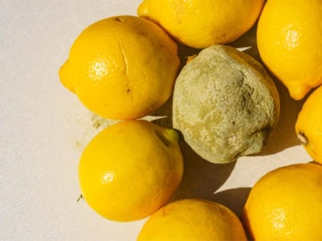 5 Ways To Tell If A Lemon Is Bad - Tastylicious