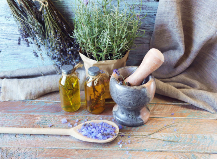 Lavender vs. Rosemary: Top 5 Differences From Garden to Kitchen ...