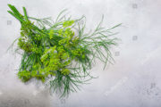 Fennel vs. Dill - Tastylicious