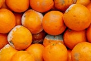 How to Tell If an Orange is Bad - Tastylicious