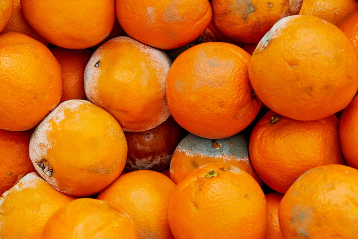 How to Tell If an Orange is Bad - Tastylicious